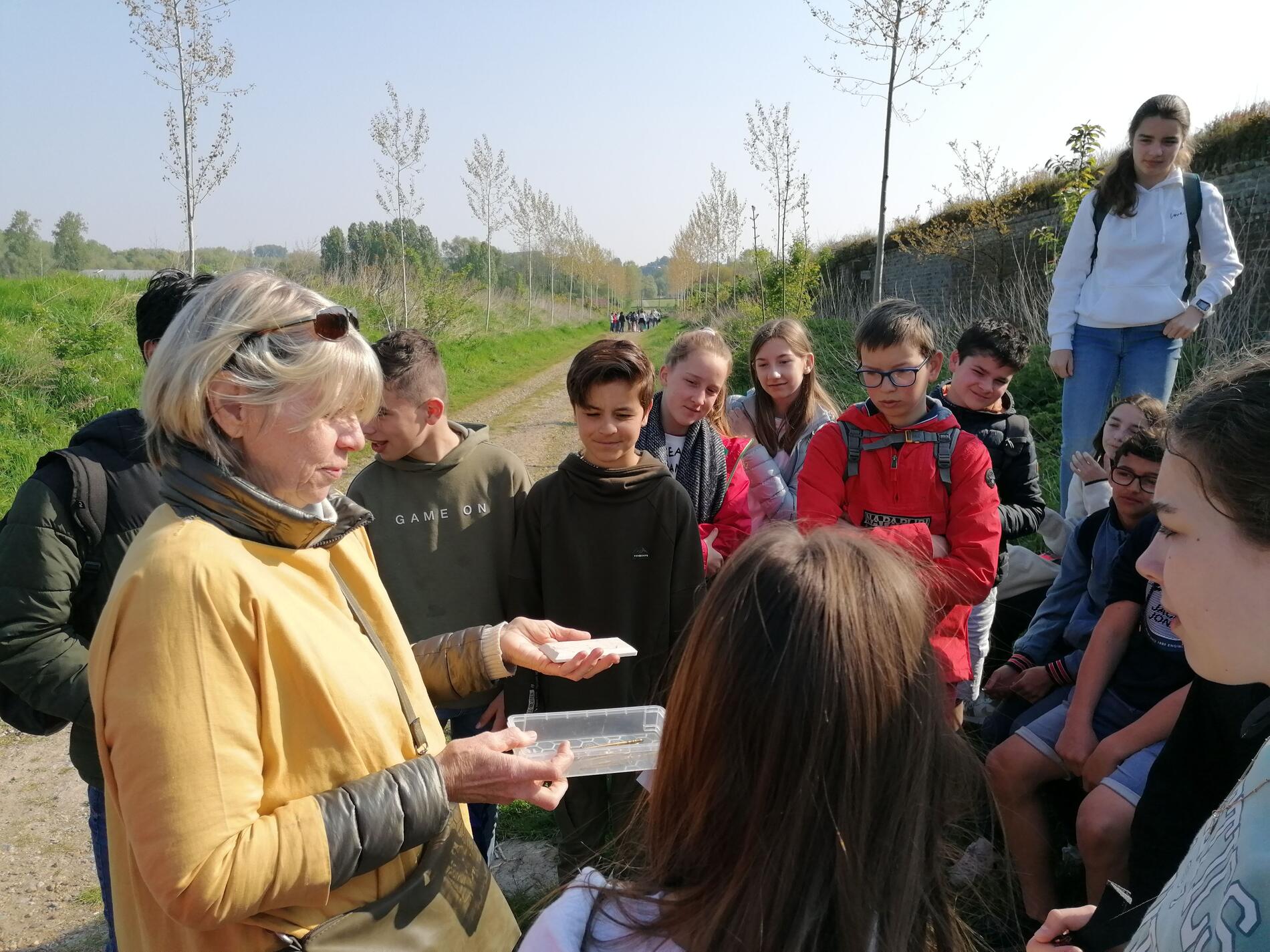 Activiteiten - viio TONGEREN